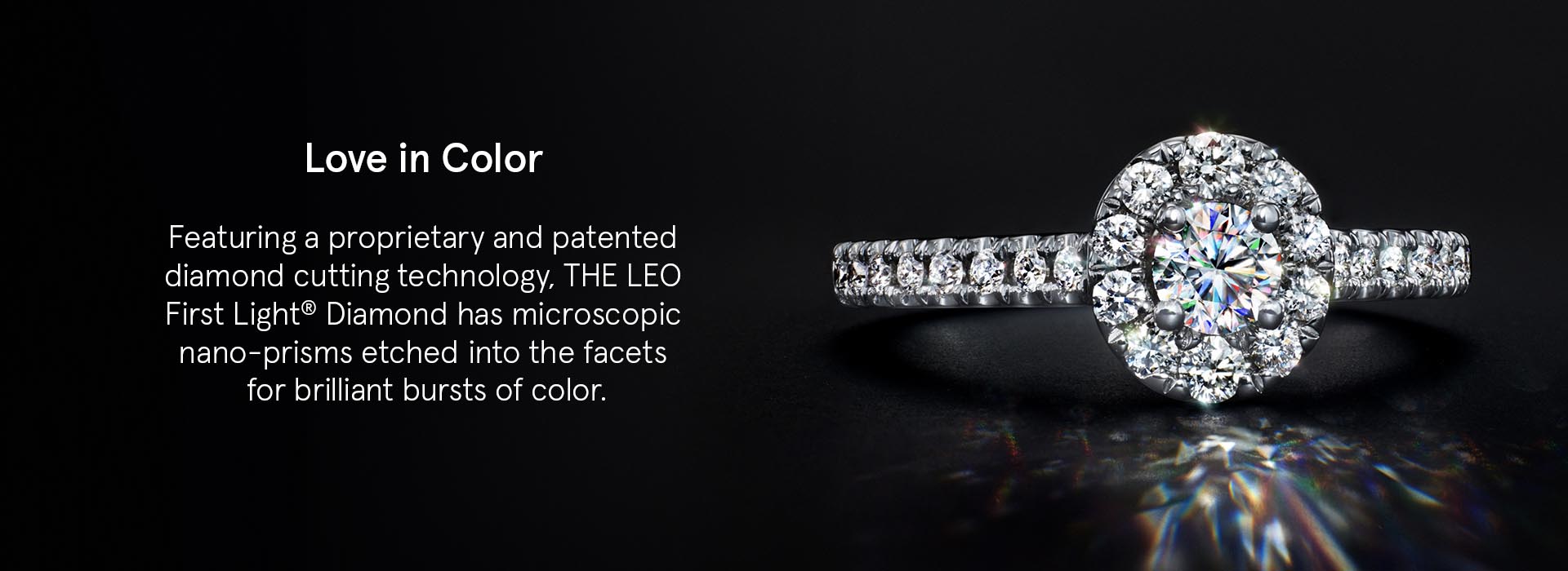 FIRST LIGHT BY LEO SCHACHTER Collections | Collections | Kay